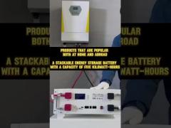 12v 24v 36v 48v Μαύρο OEM Lifepo4 Πρισματική κυψέλη για αντικατάσταση μπαταρίας
