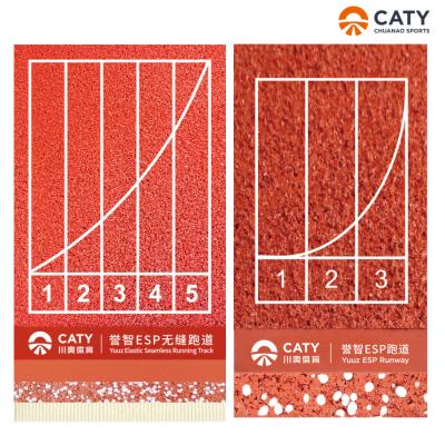 中国 天候耐性 カラーファストゴム アスレティックトラック EPDM ゴムランニングトラック 販売のため