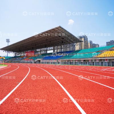China Shock Absorption Athletics Track Material EPDM Rubber Granules by Practical EPDM Crumb Rubber Carriers & Distributor for sale