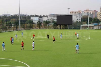 Cina Granuli di gomma SBR ecologici per erba sintetica e pavimentazioni di sicurezza per parchi giochi in vendita