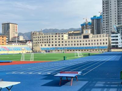 China High-Quality 0.5-2mm SBR Rubber Granules with Anti-Oil-Bleeding and Shape-Retaining Properties for Playground Surfaces for sale