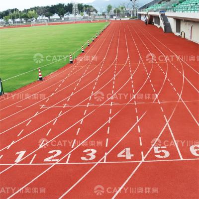 Cina Vendita a caldo pista di corsa permeabile ecologica per aree di esercizio sostenibili e verdi in vendita