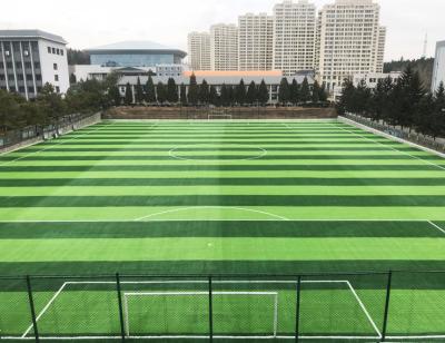 China Durable EPDM Rubber Granules for Athletics Stadium Tracks School Grounds and Sports Complexes for sale