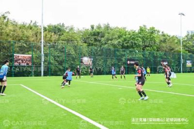 China Premium Artificial Grass Infill Granules for Landscaping Application Football Pitch Soccer Field for sale