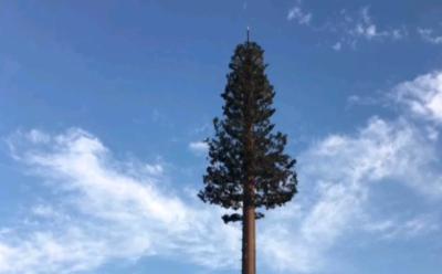 China Bionic Communications Towers Environmentally Friendly Fake Tree Tower for sale