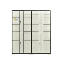 China Smart Delivery Parcel Locker for sale