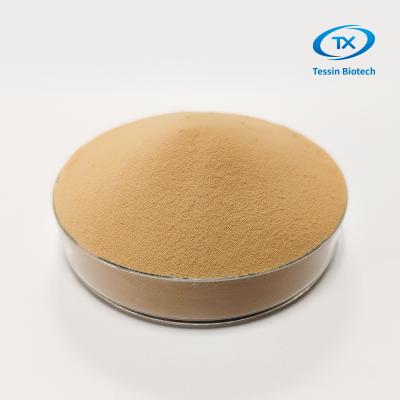 China Custom Dried Autolysed Yeast Extract Ingredients Powder For Sausages Soup for sale