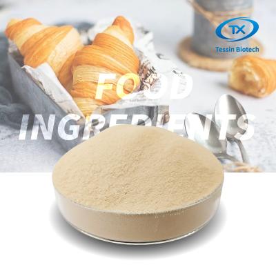 China OEM Nutritional Yeast 1kg Protein Powder Saccharomyces Cerevisiae Derived for sale