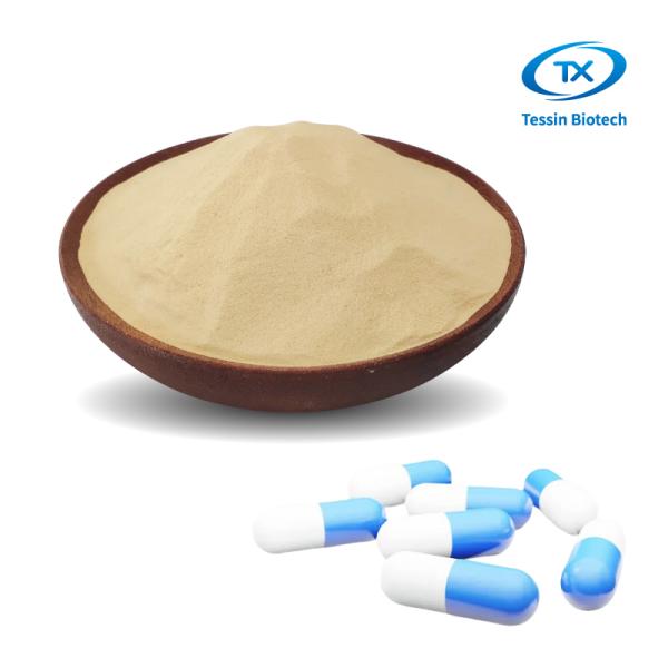 Quality Natural Inactive Nutrition Yeast Protein Ingredient For Bread Plant Based Food for sale