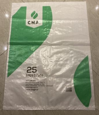 Cina Borsa di tessuto in PP personalizzata con tessuto da 50-80 gms e tecnologia di stampa a gravura in vendita