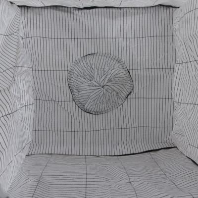 China 100x100x100cm Antistatic Conductive Bag Designed for Professionals Te koop