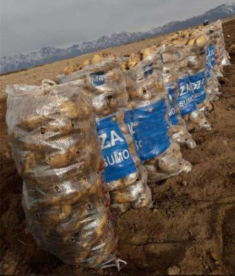 Cina sacchetti di tessuto in pp per patate e altri alimenti in vendita