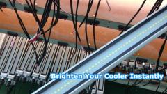 M9S Led light