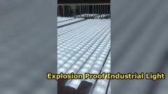X3PT-led light