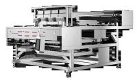 China 99% Nuts Color Sorter for sale