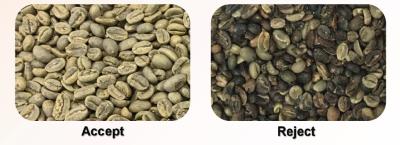 Cina Un caffè telecomandato Bean Color Sorter di 128 espulsori in vendita