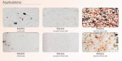Cina Selezionatore di colore del sale dell'impurità degli espulsori di HD 0.8Mpa 384 in vendita