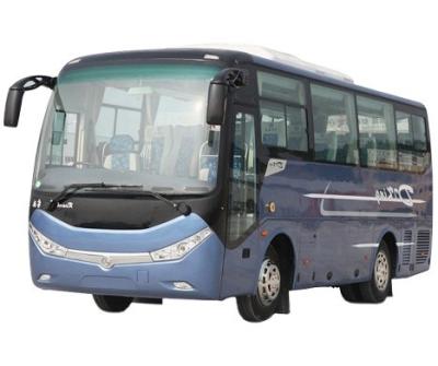 Cina 10-19 posti LHD/RHD ruota motrice Diesel autobus passeggeri con esigenze del cliente in vendita