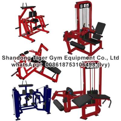 China Gym Fitness Equipment Iso-Lateral Leg Curl /  Prone leg Curl / Seated Leg Curl / Kneeling Leg Curl exercise machine for sale