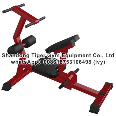 China Gym Fitness Equipment Stretch Trainer for sale