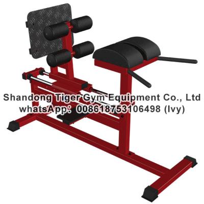 China Gym Fitness Equipment Glut Ham Raise for sale