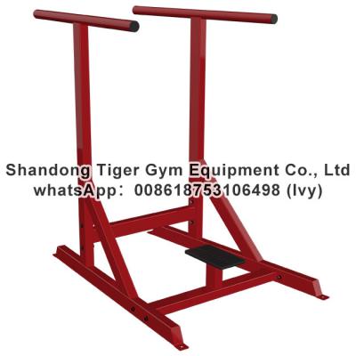 China Gym Fitness Equipment Dipping Bars for sale