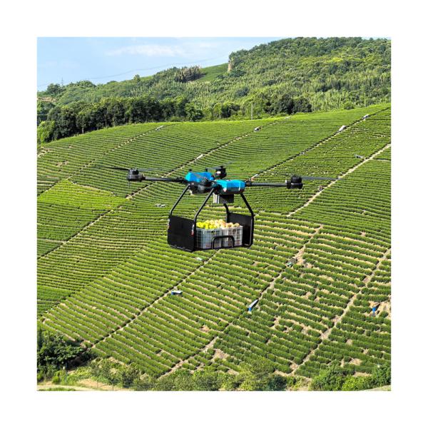 Quality Cargo 50KG Payload Drone Delivery Drone Dual Battery High Load Unmanned Aerial Vehicle Transport Drone for sale
