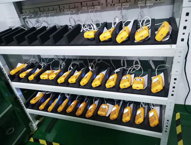 Portable multi gas detector