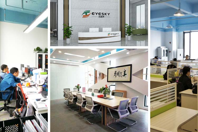 Portable multi gas detector