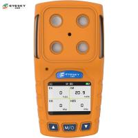China Portable H2S Single Gas Detector with TFT Display 32bit ARM Processor IP65 for sale