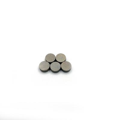 Cina Temperatura elevata magnetica del magnete del magnete Sm2Co17 del disco di SmCo delle pompe in vendita