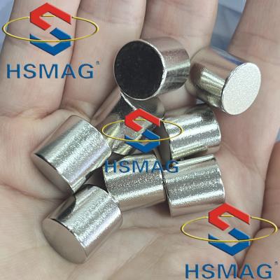 Cina Magneti inossidabili del cilindro dell'OEM del forte magnete industriale eccellente d'argento del giro di HSMAG in vendita