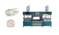 China Biodegradable Pulp Molded Cup Lid Machine for sale
