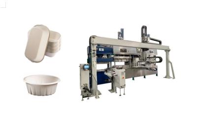 Cina Carne modellata polpa biodegradabile Tray Machine in vendita