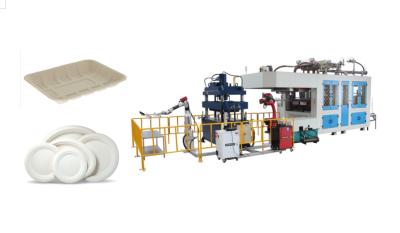 China Automatic Pulp Molding Bagasse Plate Machine Replace Foam for sale
