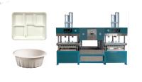 China Disposable Pulp Molding Plate Dish Making Machine for sale