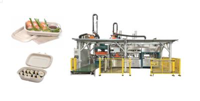 Cina Macchina per vassoi per alimenti per lo stampaggio della polpa usa e getta in vendita