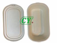 China Biodegradable Sugarcane Bagasse Plate Pulp Fiber Tableware Machine for sale
