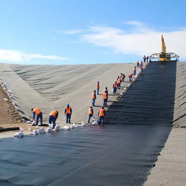 Anti-Seepage Waterproof Geomembrane Dam Pond Liner HDPE LLDPE LDPE 0.5-2mm Geomembrane Price