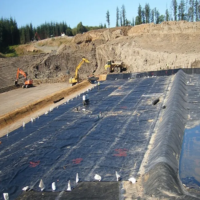 Anti-Seepage Waterproof Geomembrane Dam Pond Liner HDPE LLDPE LDPE 0.5-2mm Geomembrane Price
