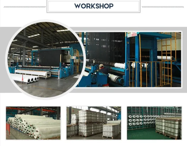 High Quality Biaxial Uniaxial Geogrid Prices HDPE PP