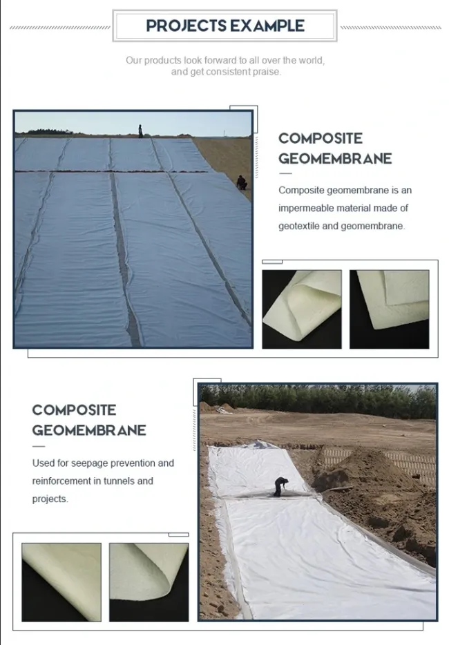 Application of HDPE Plastic Waterproofing Anti-Seepage Composite Geomembrane in Landfill Tailings Treatment
