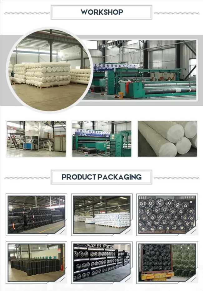 Two Layers and One Film Reservoir Seepage Control Composite Geomembrane in Landfill Tailings Treatment