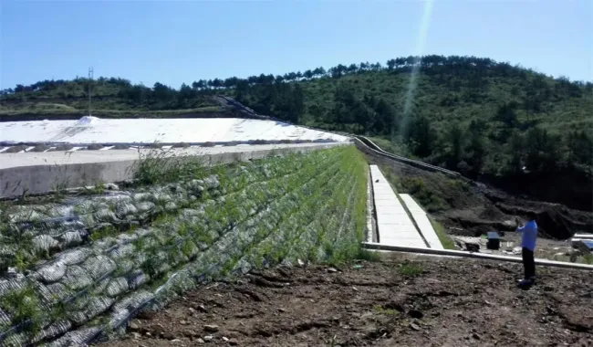 PP Uniaxial Plastic Geogrid PE One-Way Geogrid Uniaxial Polyester Geogrid Price Gravle Grid Ground Stabilizer for Soil Reinforcement