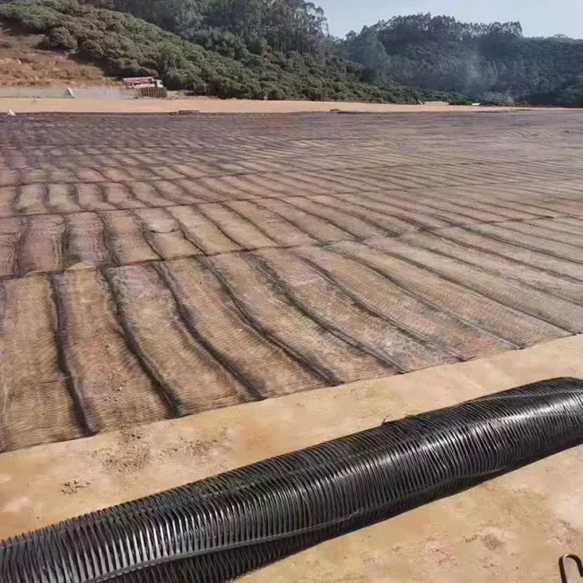 Factory Price High Strength HDPE Uniaxial Geogrid for Retaing Wall Reinforcement