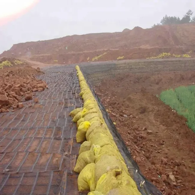 Factory Price High Strength HDPE Uniaxial Geogrid for Retaing Wall Reinforcement