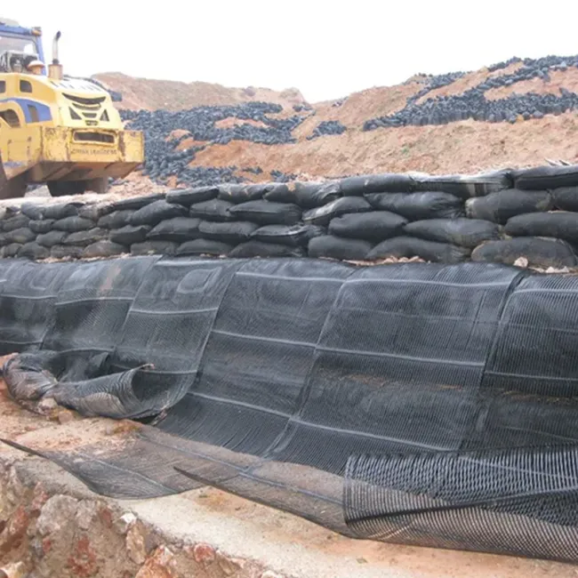 Factory Price High Strength HDPE Uniaxial Geogrid for Retaing Wall Reinforcement