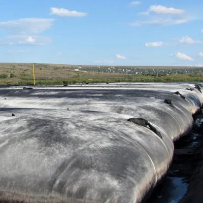 Cina Borse d'asciugamento riutilizzabili Geotube dei pp grandi per Marine Construction in vendita