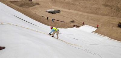 China De naald sloeg Niet-geweven Geotextile 400g Geofabric Behoudende Muur for sale