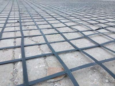 중국 좋은 HDPE 지오그리드 강철 플라스틱 지오그리드 판매용